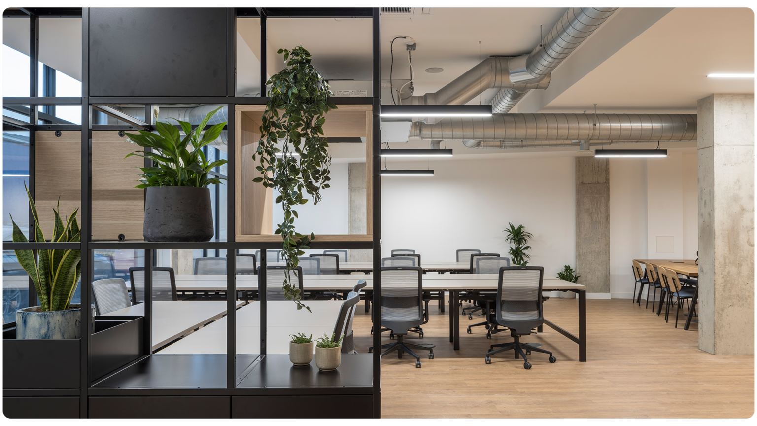 Breathe Easy, Work Happy: Your Comprehensive Guide to Biophilic Office ...